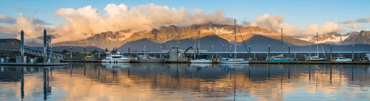 Cruises from Seward 2018,2019 - Seward Cruises | Cruise Guru